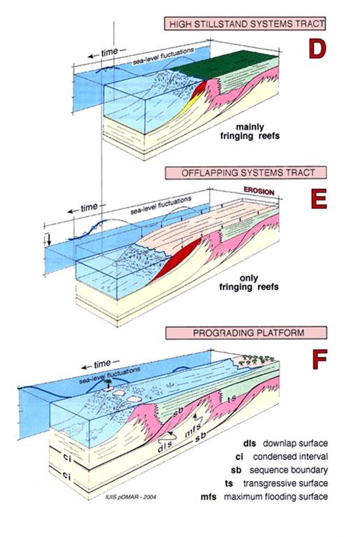 Mallorca Movies - SEPM Strata