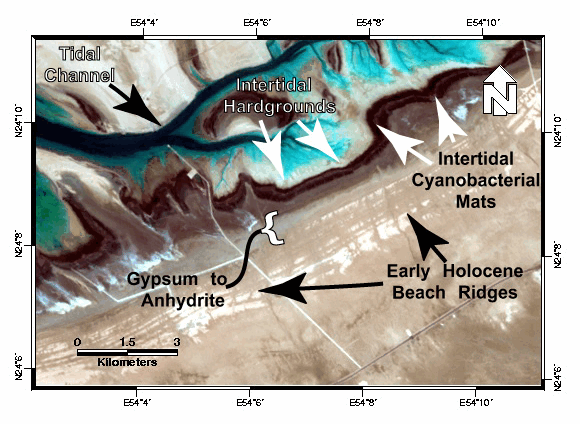 UAE Holocene - SEPM Strata