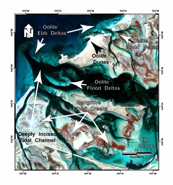 UAE Holocene - SEPM Strata