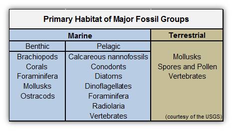 Paleontology Research -SEPM