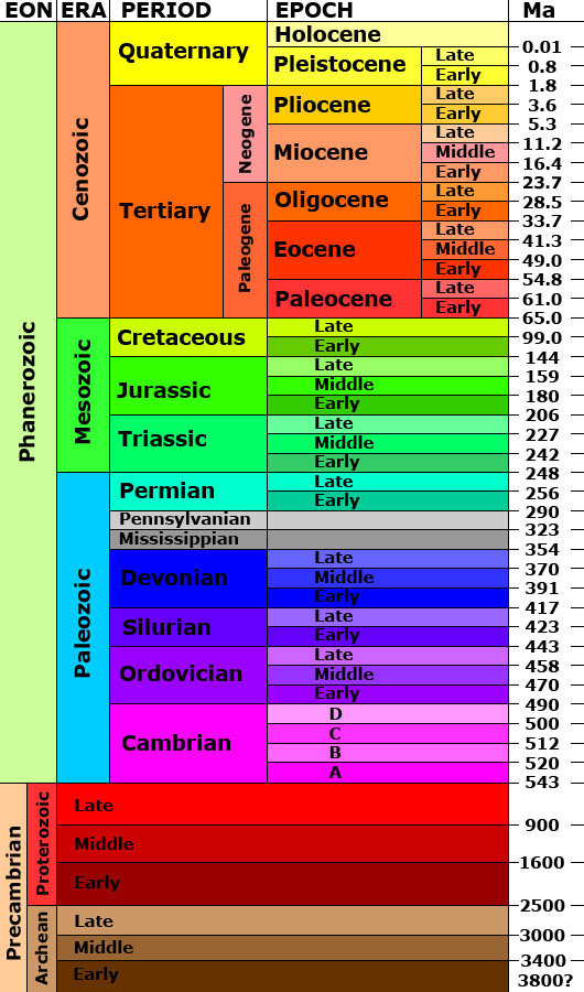 History and Geologic Range- SEPM strata