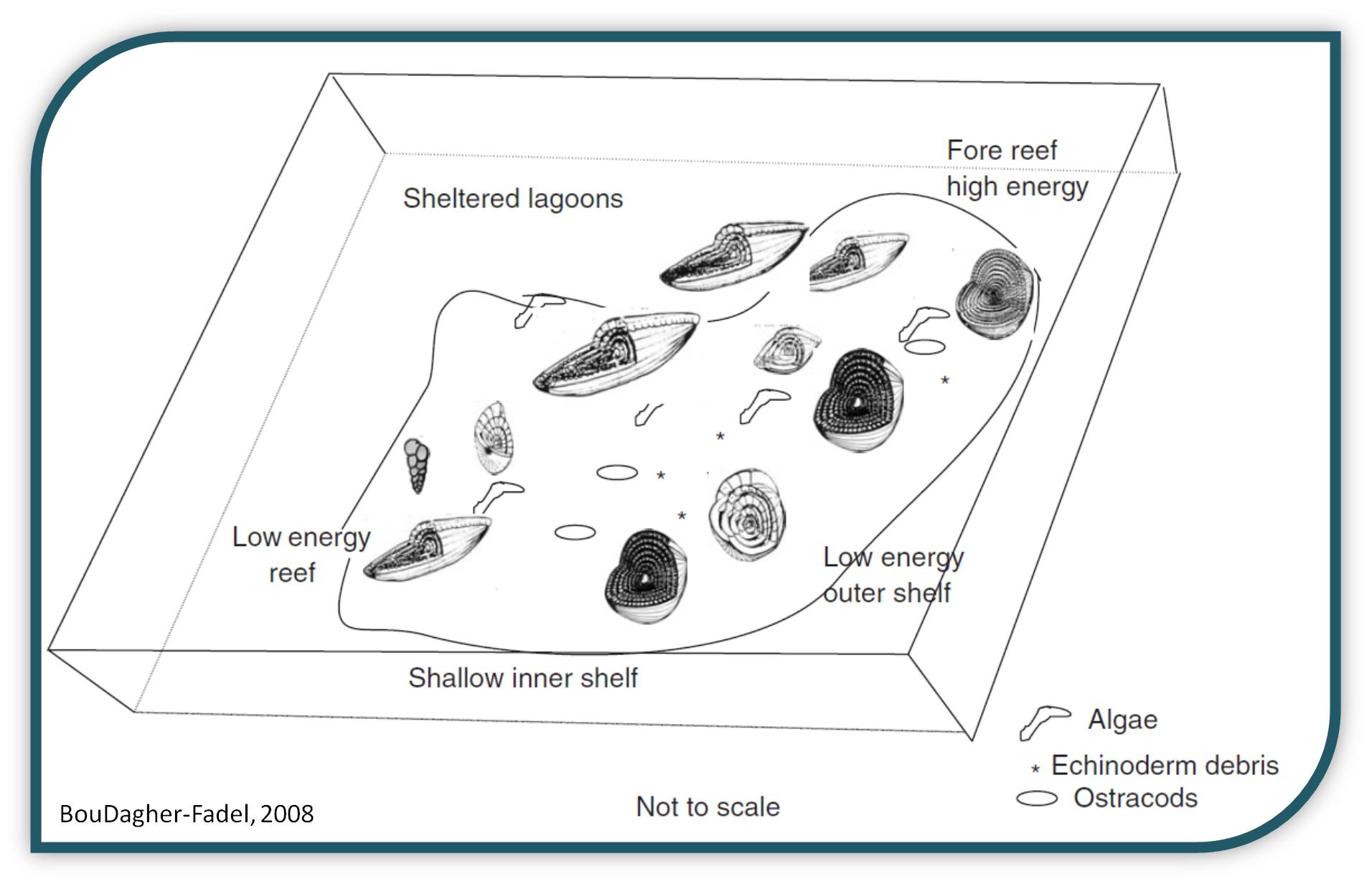 The Paleozoic - SEPM