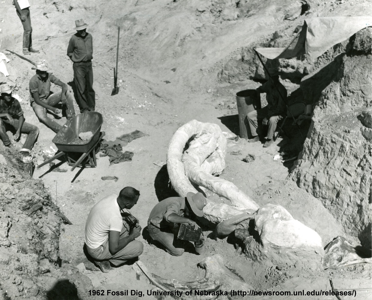 Paleontology Research -SEPM