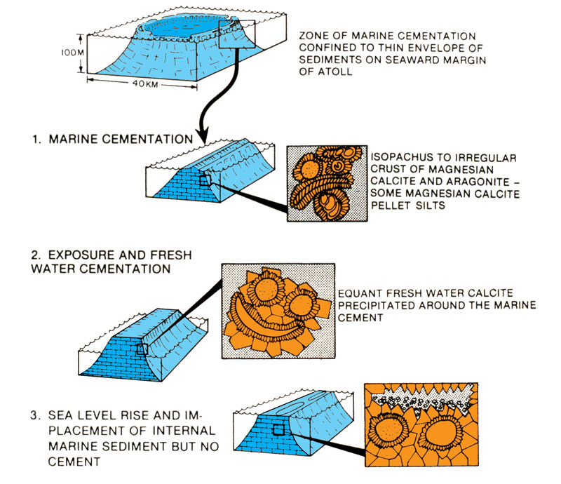 Opiniones de Diagénesis