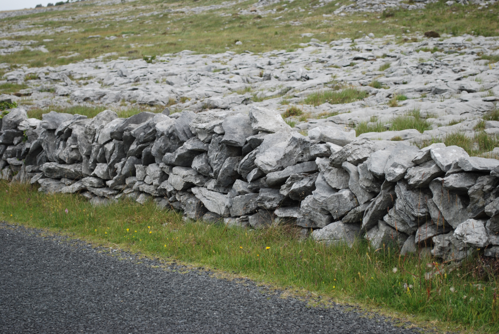 Ballyallaban Burren - SEPM Strata