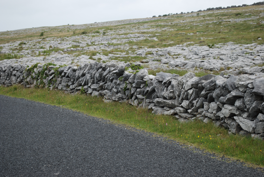 Ballyallaban Burren - SEPM Strata