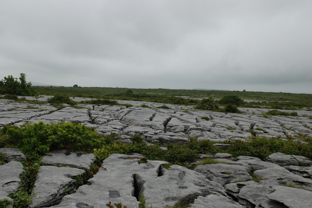 Sheshymore Limestone Gallery - SEPM Strata