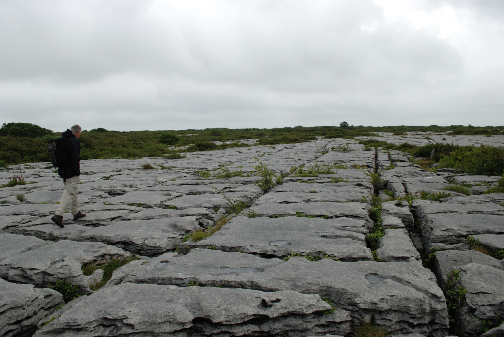 Sheshymore Limestone Gallery - SEPM Strata