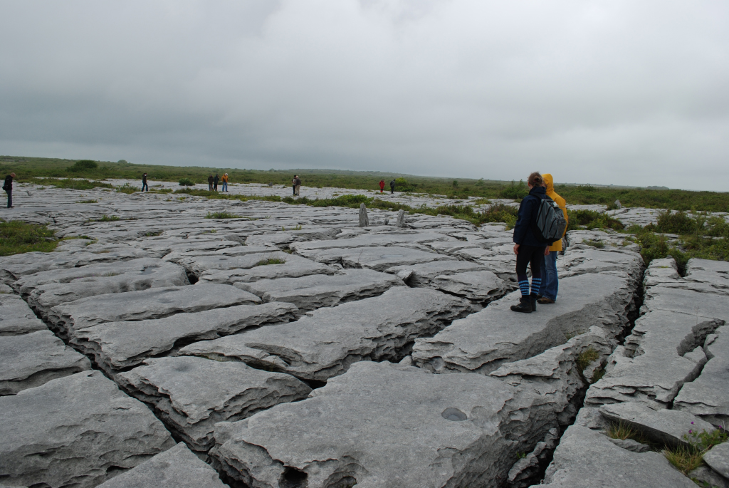 Sheshymore Limestone Gallery - SEPM Strata