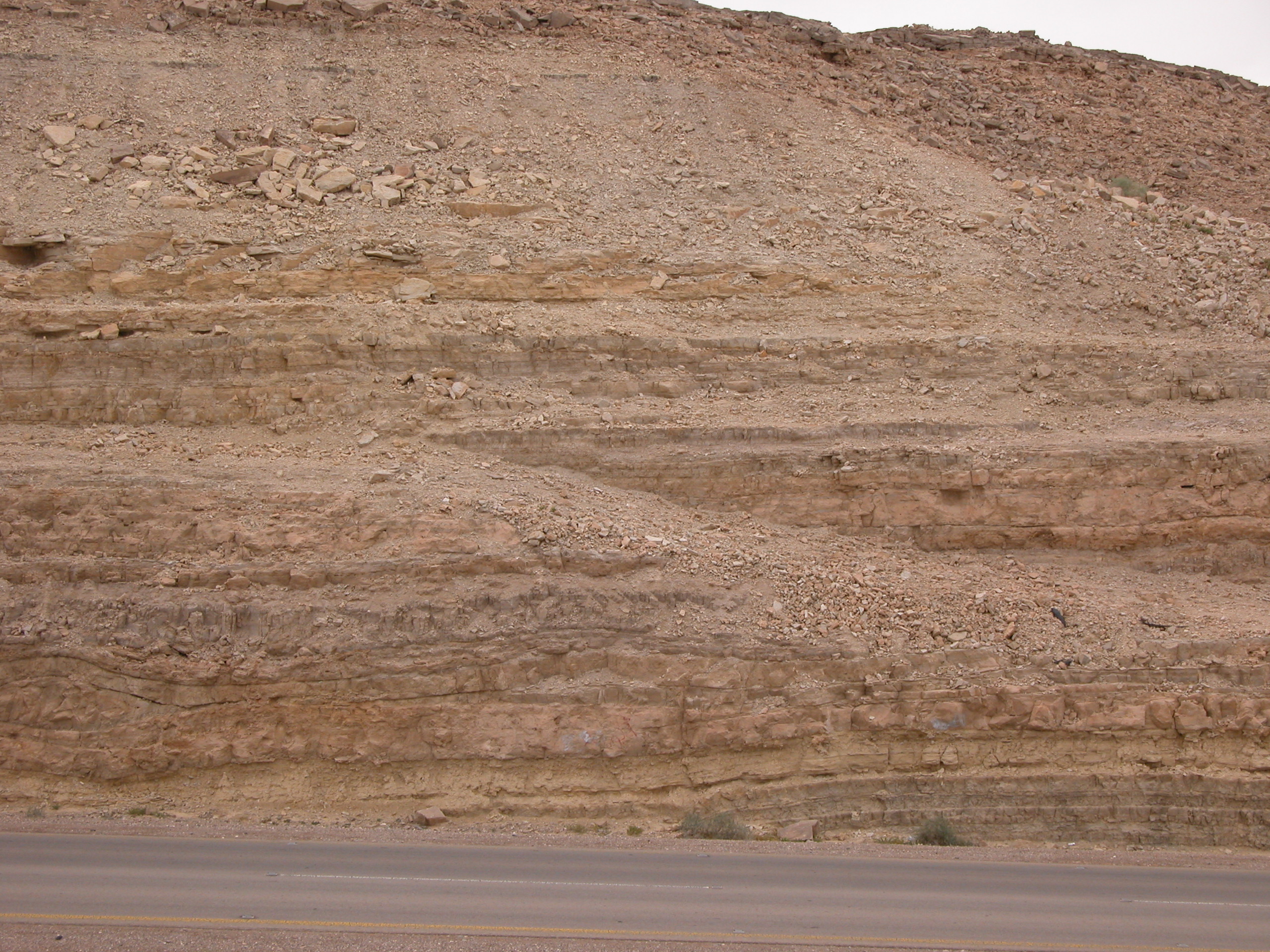 Saudi Arabian Outcrops - SEPM Strata