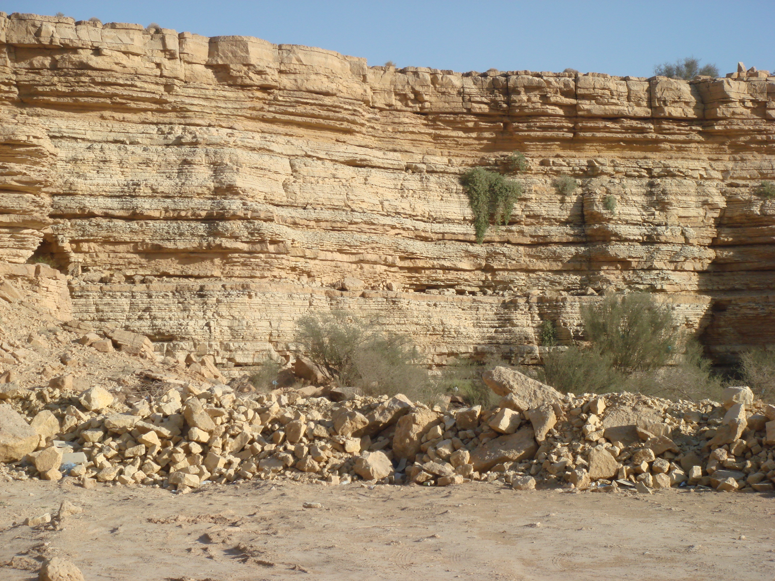 Saudi Arabian Outcrops - SEPM Strata