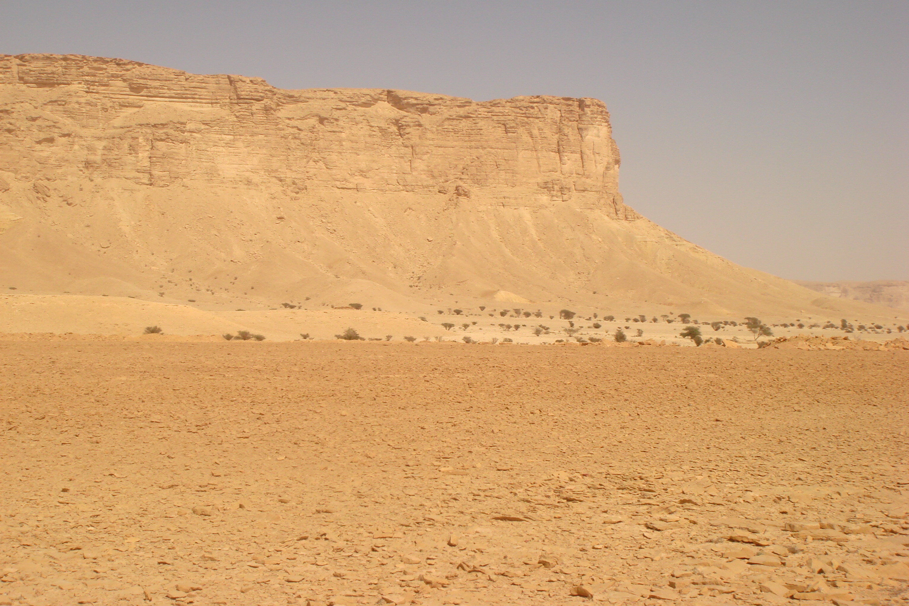 Saudi Arabian Outcrops - SEPM Strata