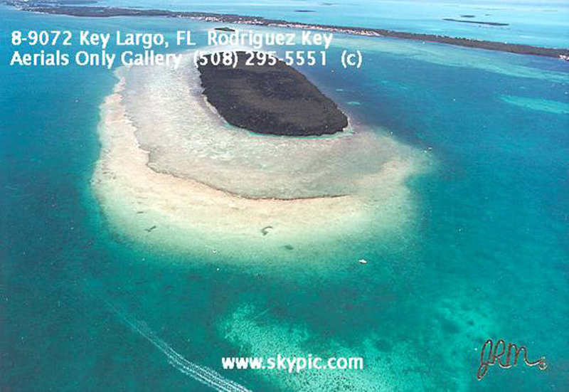 Florida Reefs and Bays - SEPM Strata