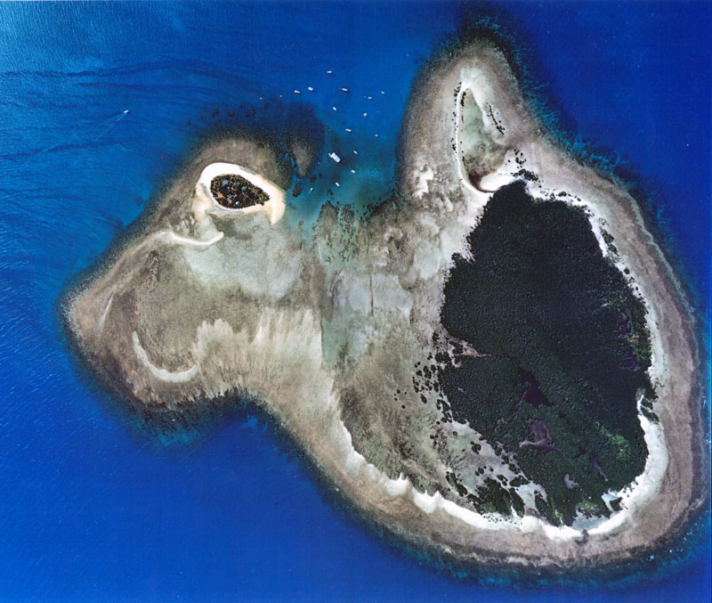 Low Isles Reef GBR - SEPM Strata