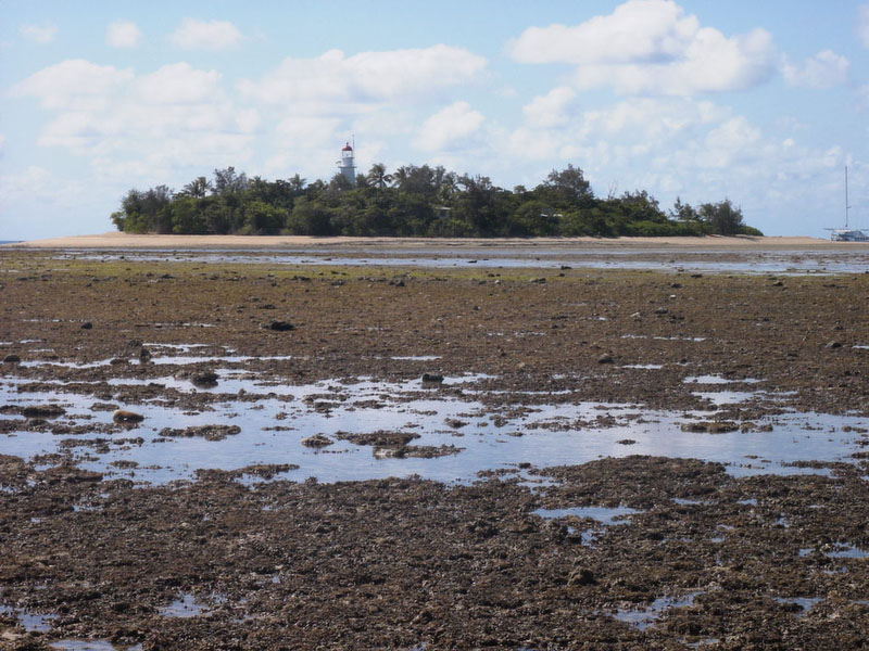 Low Isles Reef GBR - SEPM Strata