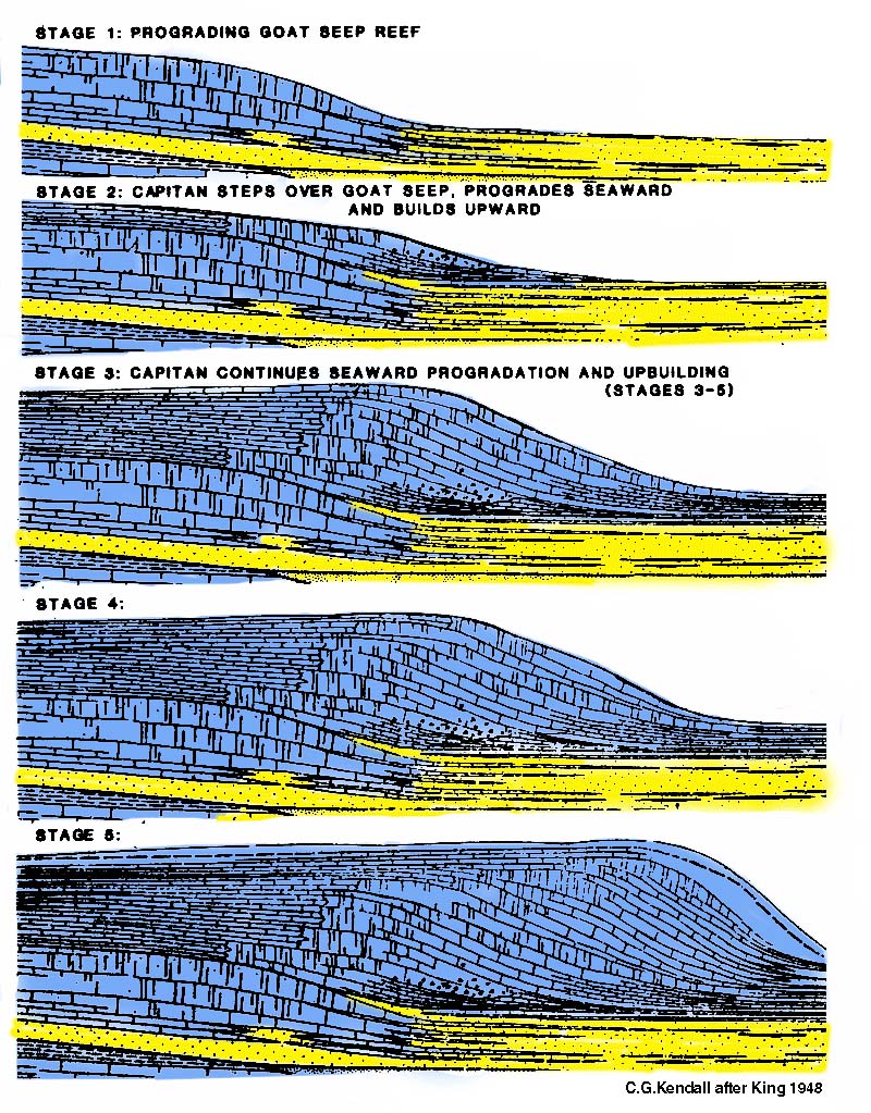 Permian Basin & Slope - SEPM Strata