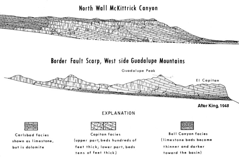 Permian Basin & Slope - SEPM Strata
