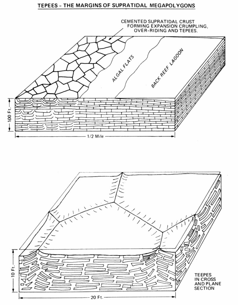 Permian Basin Platform - SEPM Strata