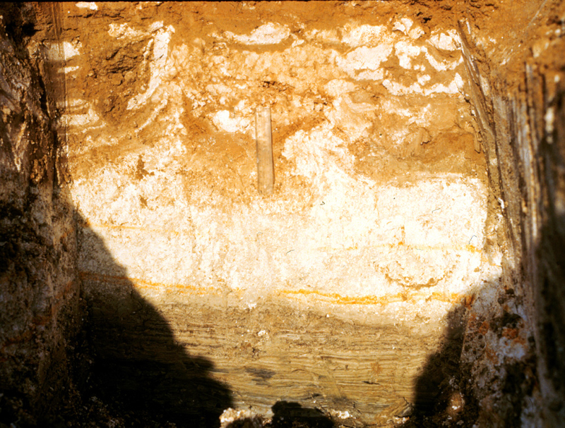 Evaporites and Aeolian - SEPM Strata