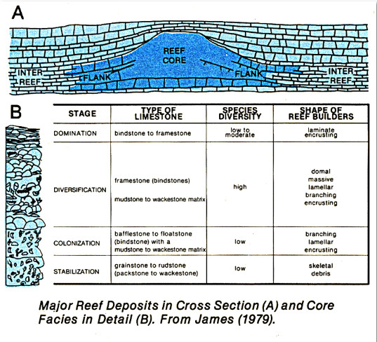 Water Ciculation - SEPM Strata